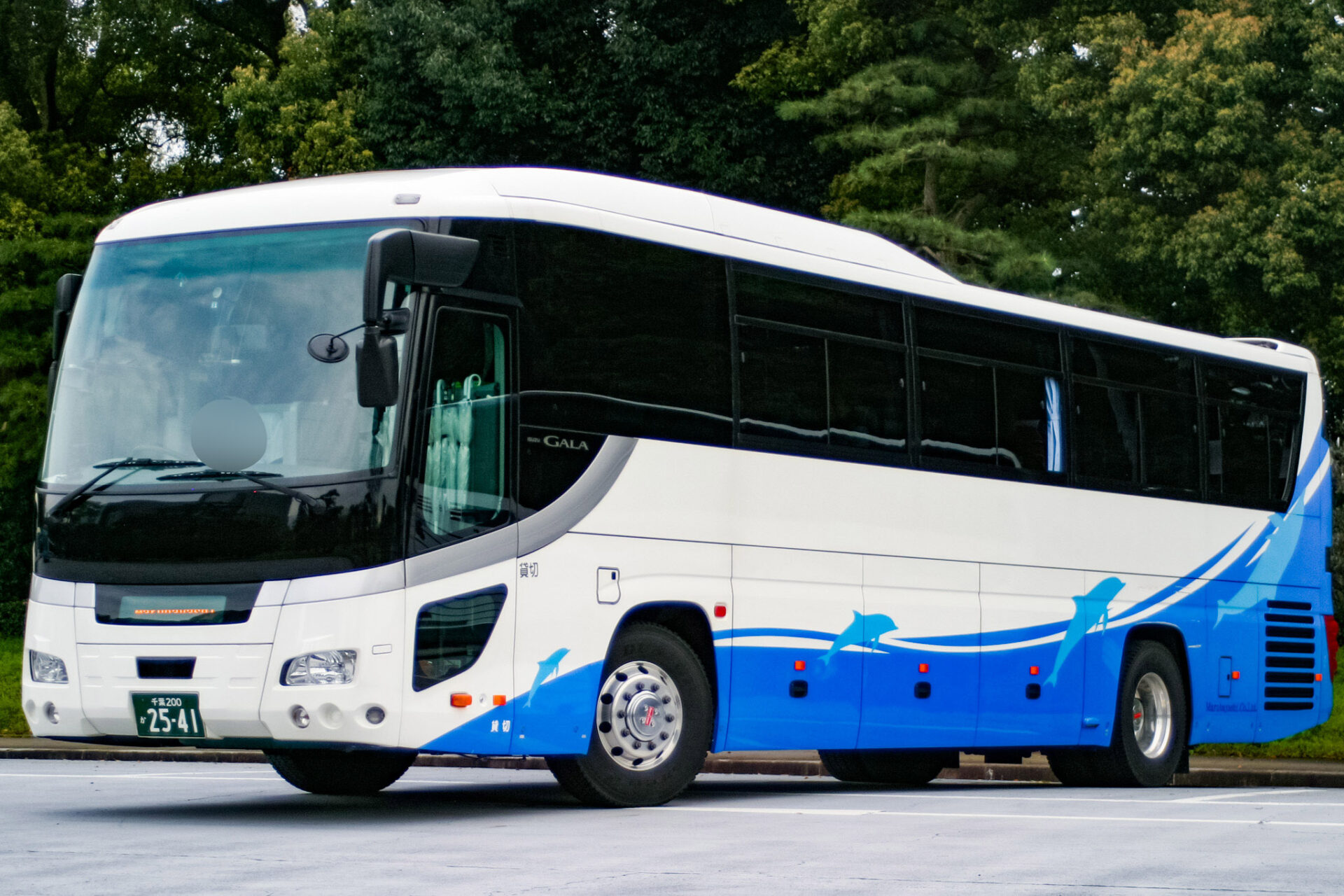 Marubayashiサービス 千葉200か2541 | わくわくバス