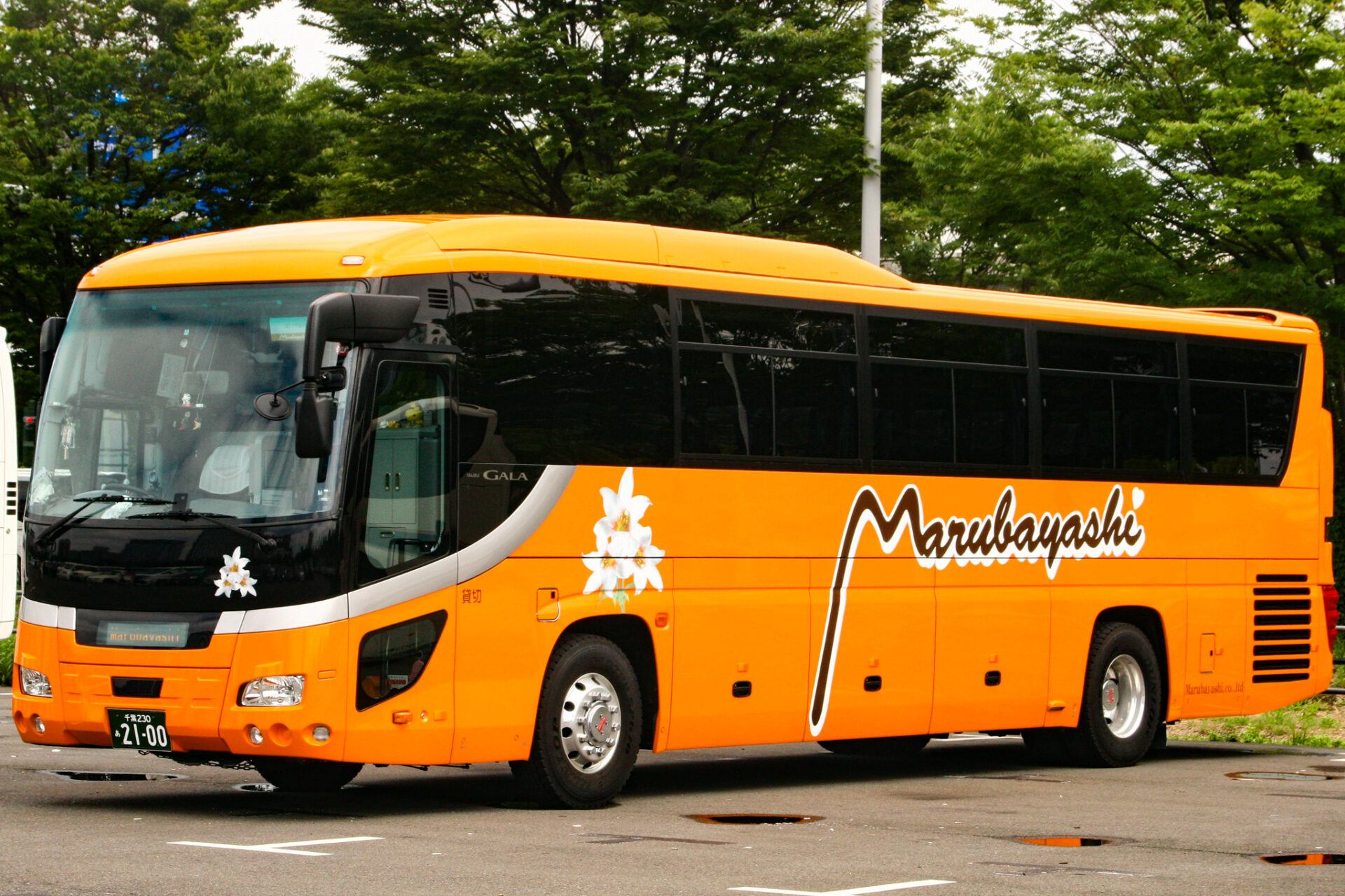 Marubayashiサービス 千葉230あ2100 | わくわくバス