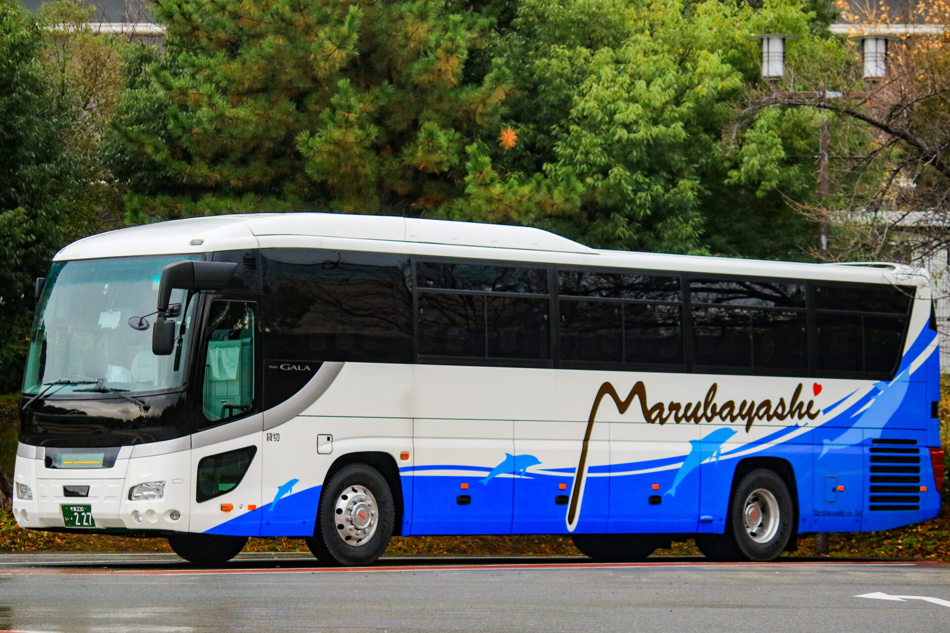 Marubayashiサービス 千葉230い227 | わくわくバス